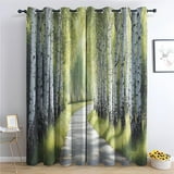 Birch Tree Path Patterned Blackout Curtains For Bedroom, Living Room ...
