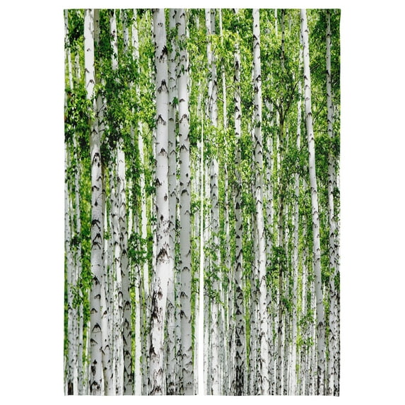 Birch Trees Forest Door Curtain Kitchen Doorway Partition Curtain ...