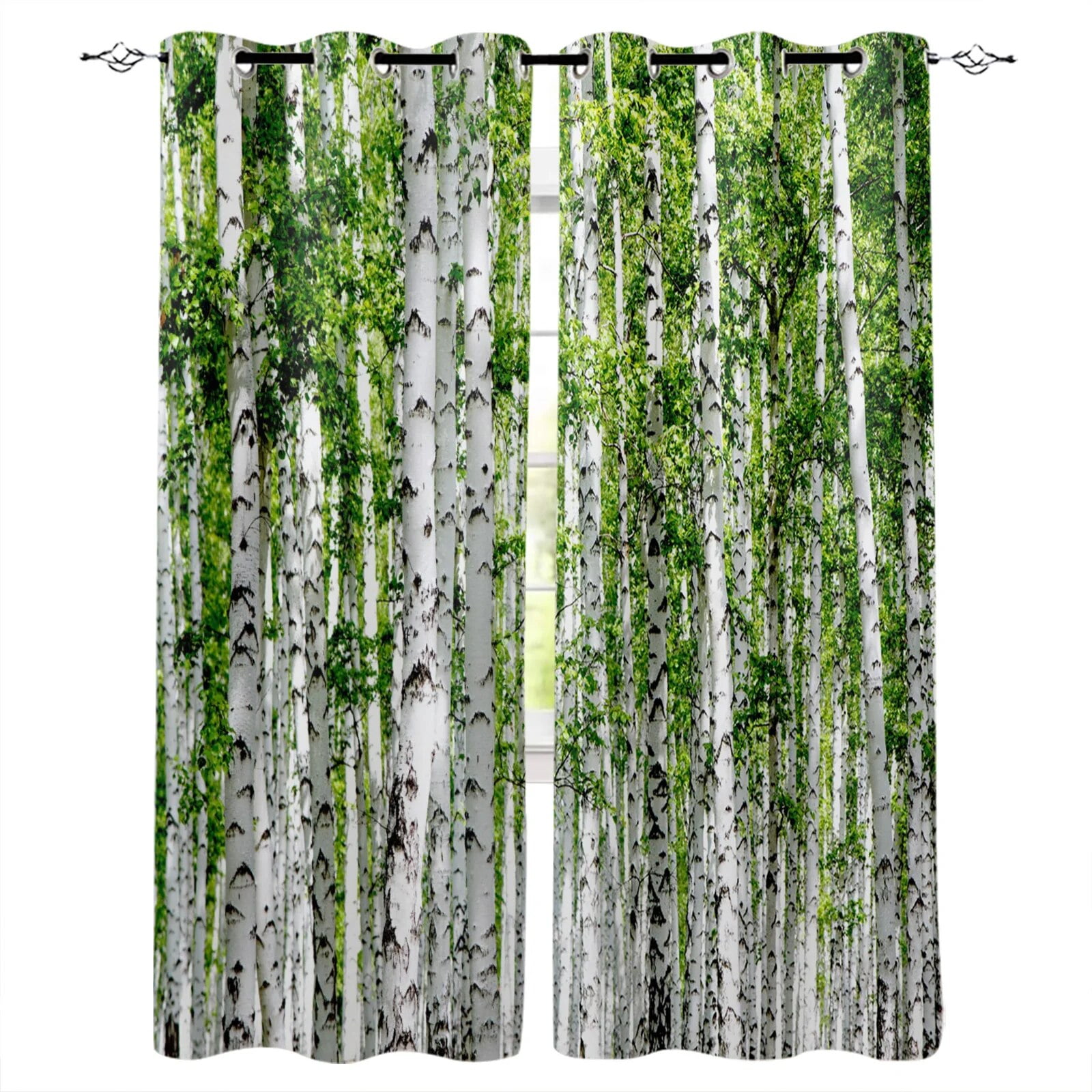 Birch Trees Nature Outdoor Living Room Kitchen Indoor Print Decor ...