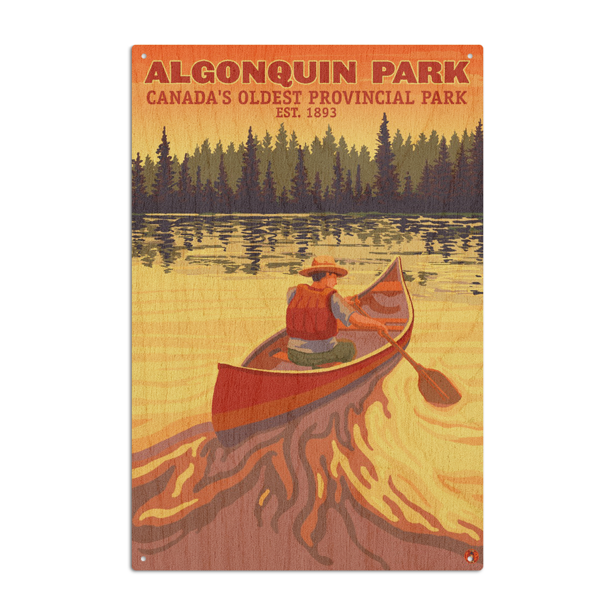 Birch Wood, Algonquin Provincial Park, Ontario, Canada, Canoe Scene ...