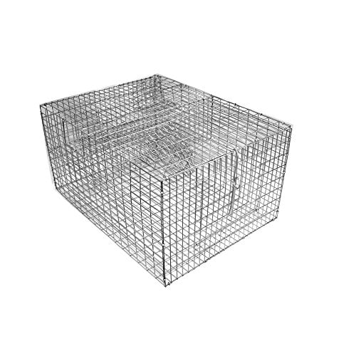 Bird B Gone - Bi-Level Sparrow Trap - Spacious Two-Chamber 8"x12"x16 ...