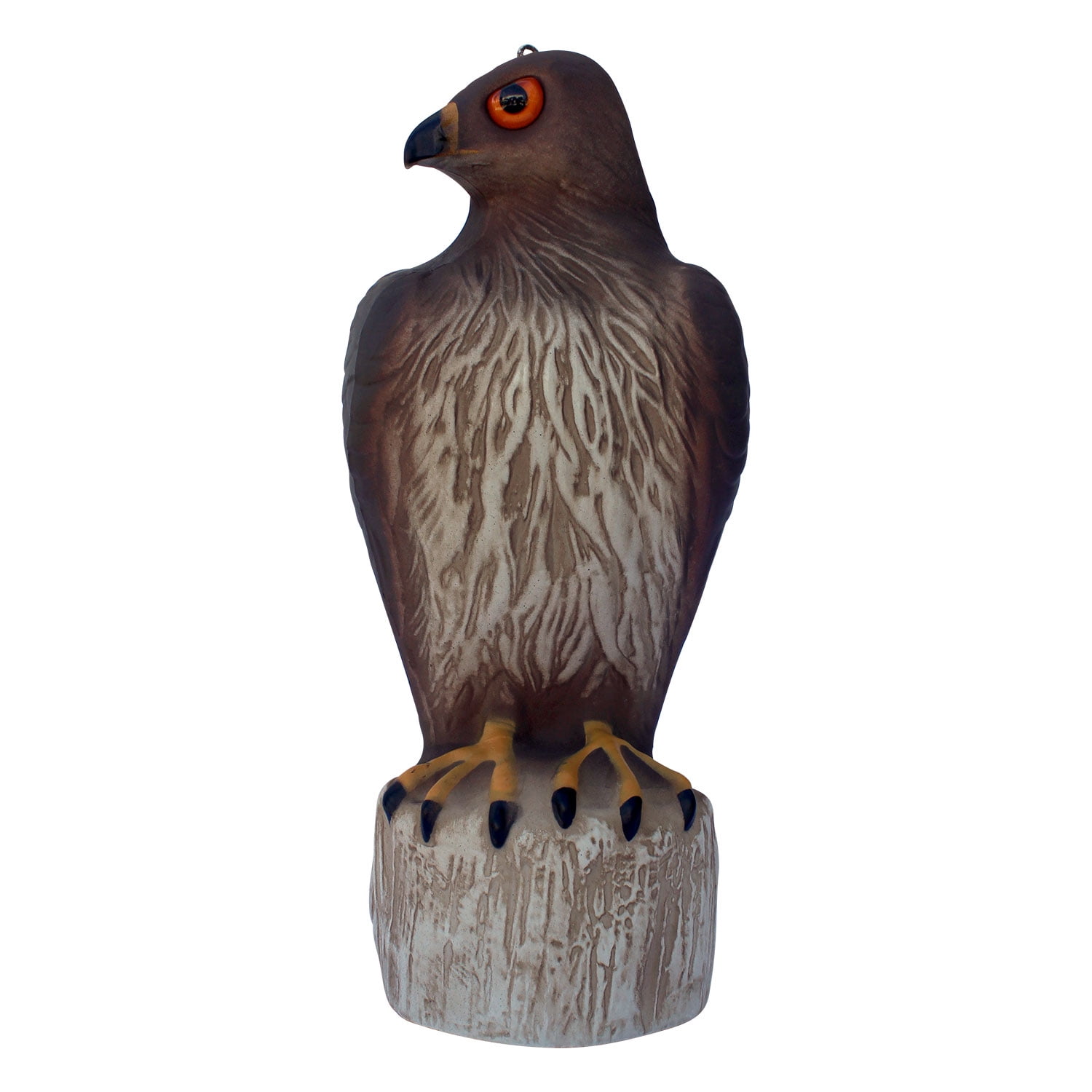 Bird B Gone Hawk Decoy Bird Deterrent - Walmart.com