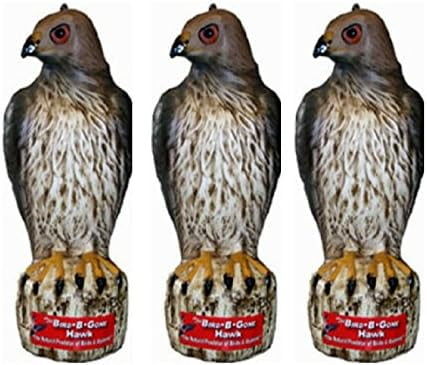 Bird B Gone MMRTH1 Hawk Decoy Bird Deterrent - Walmart.com