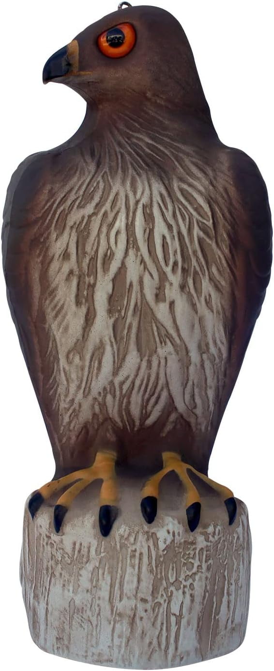 Bird B Gone Plastic Hawk Decoy to Scare Birds Away, Bird Deterrent ...