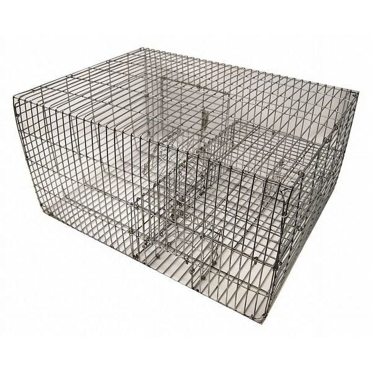 Bird Barrier Bird Trap,8 in H,16 in W,Silver tt-sp10 - Walmart.com