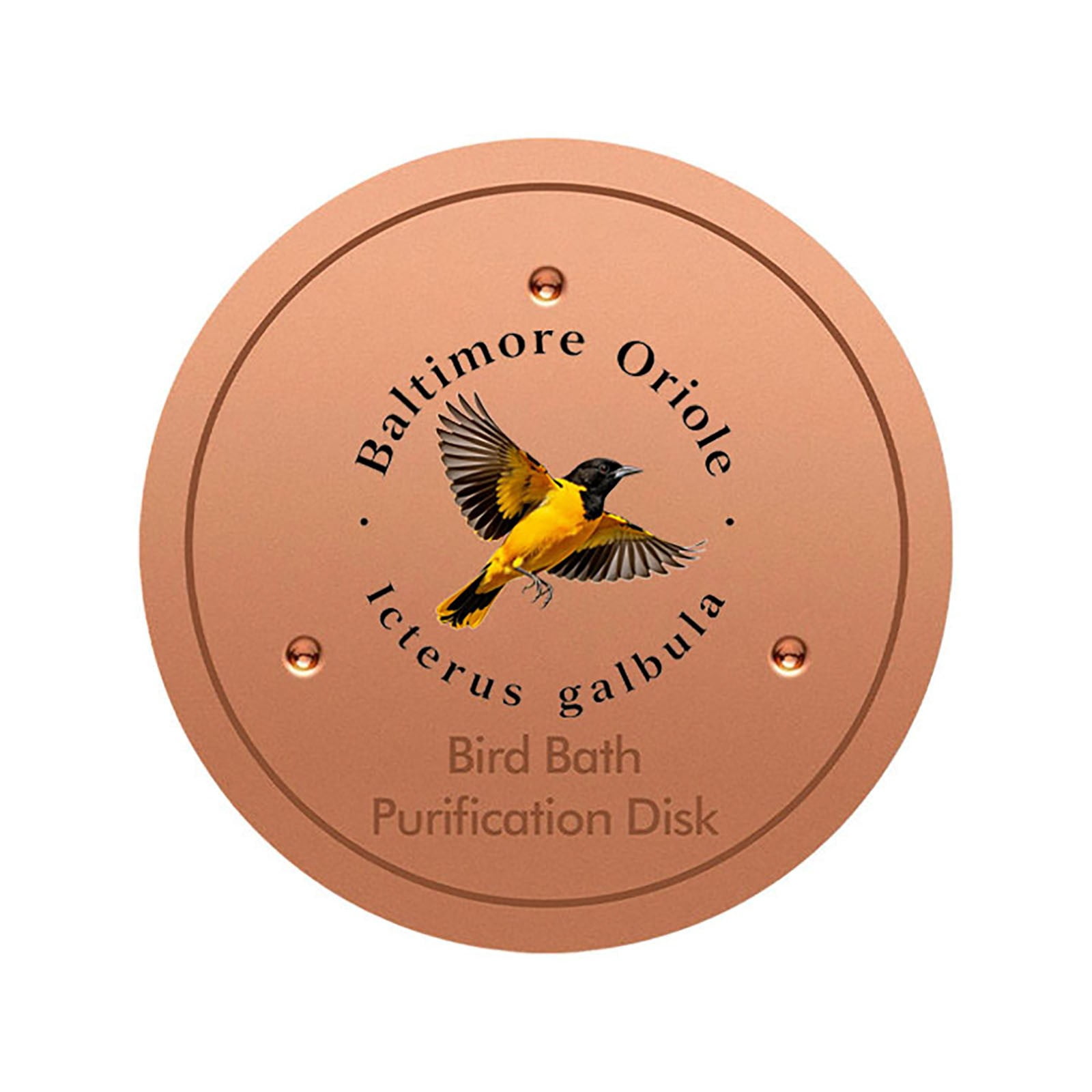 Bird Bath, Bathing Copper Plaque For Bird Feeders Elegant Copper Finish ...