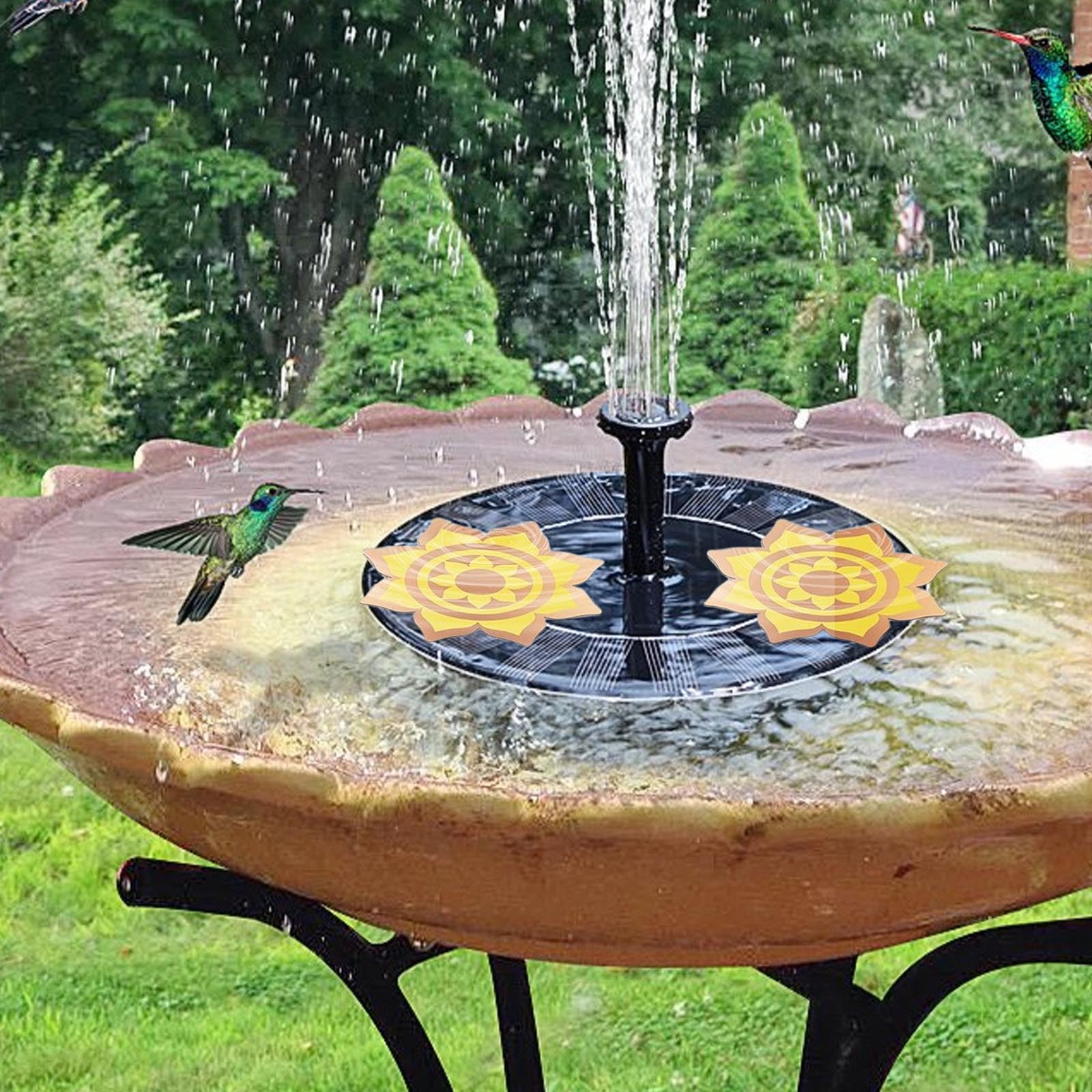 Bird Bath Cleaner Safe for Birds, Reinforced 99.99% Pure Copper Bird ...