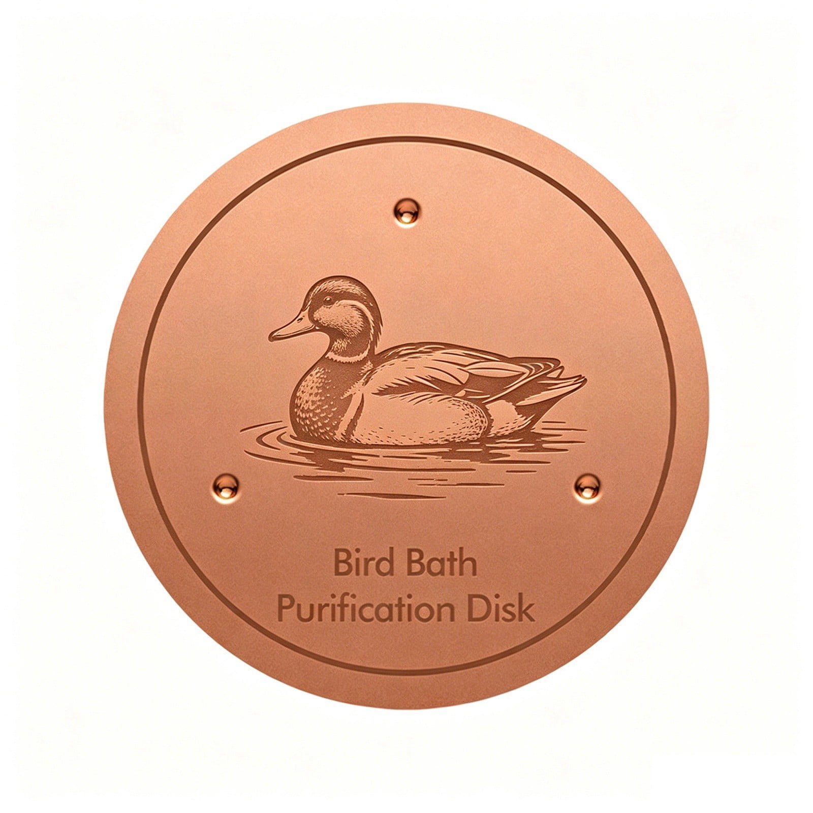 Bird Bath Copper Disc Bird Feeder Cleaning Tablet For Bird Feeders Easy ...