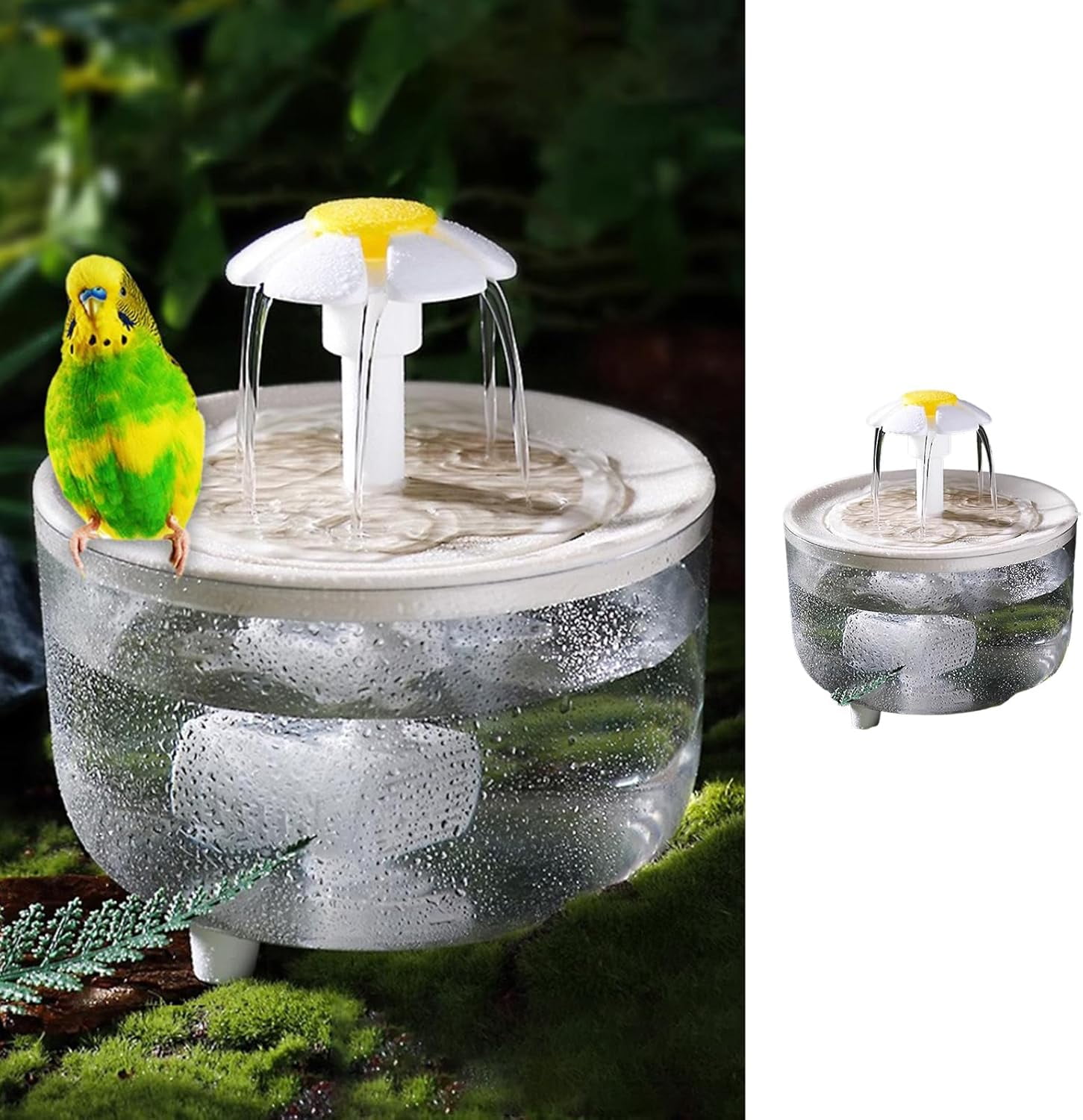 Bird Bath for Indoor Parrots - Circulating Filter Fountain Cage ...