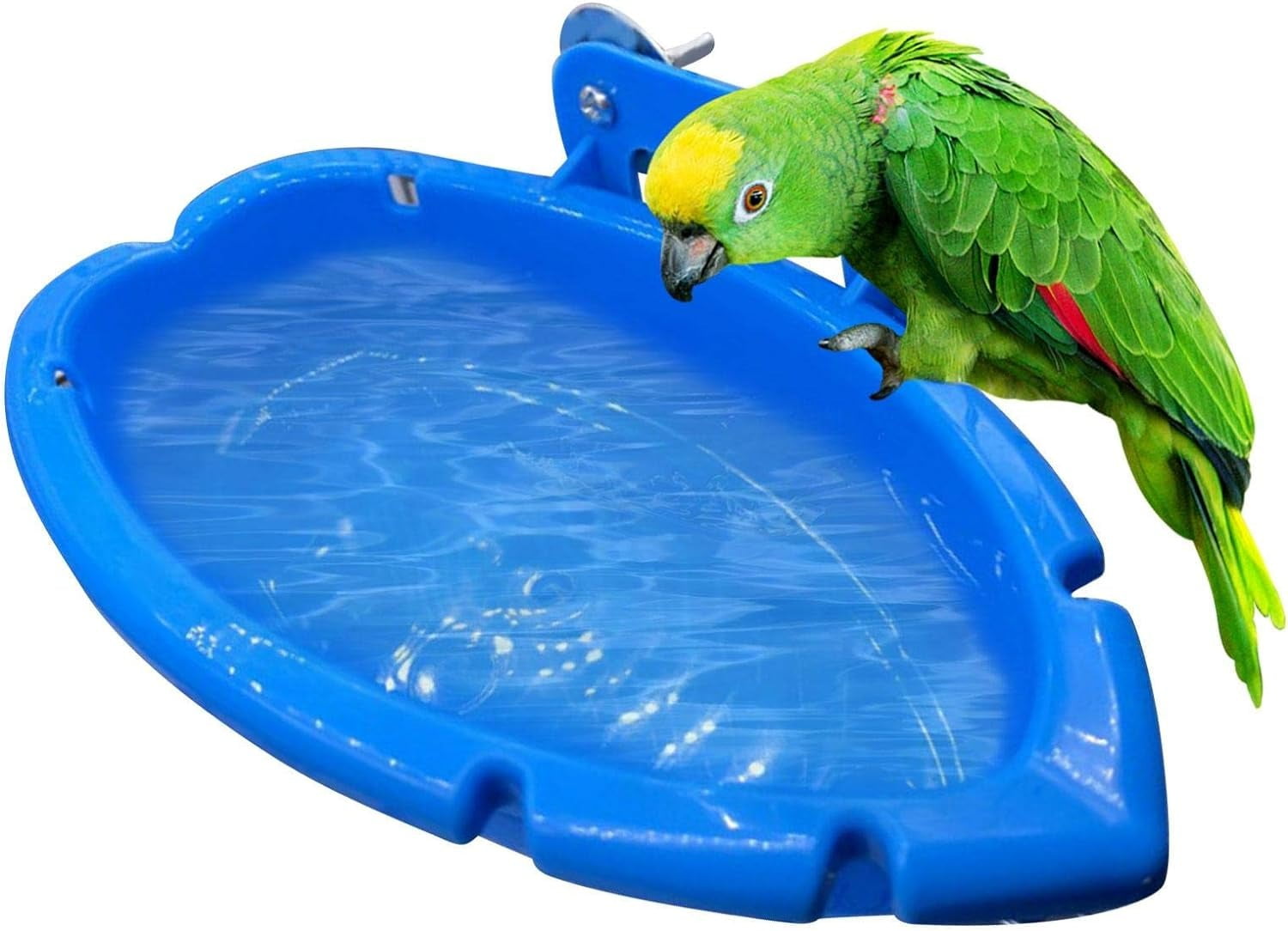 Bird Baths Tub, Bowl Basin for Parrot Cage, Hanging Bathing Box ...