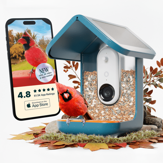 Bird Buddy Pro Solar Smart Bird Feeder, Camera, AI Bird ID, HD+ Video, Blue - Walmart.com