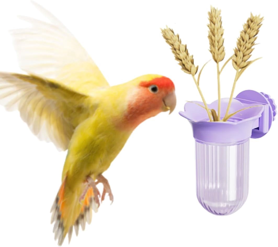 Bird Cage Feeder for Vegetable, Parrot Veggies Holder with Water ...