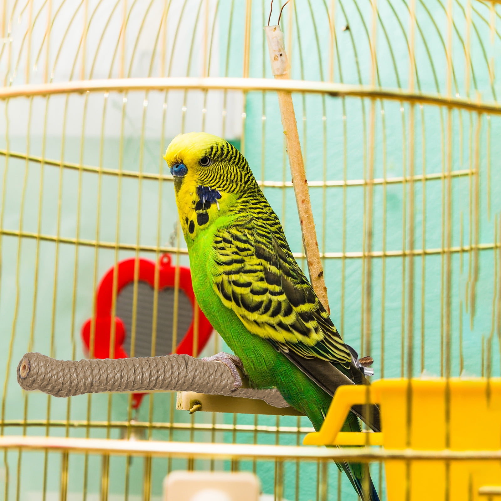 Bird Cage Standing Rod with Claw Grooming Surface, Durable Rope Perch ...