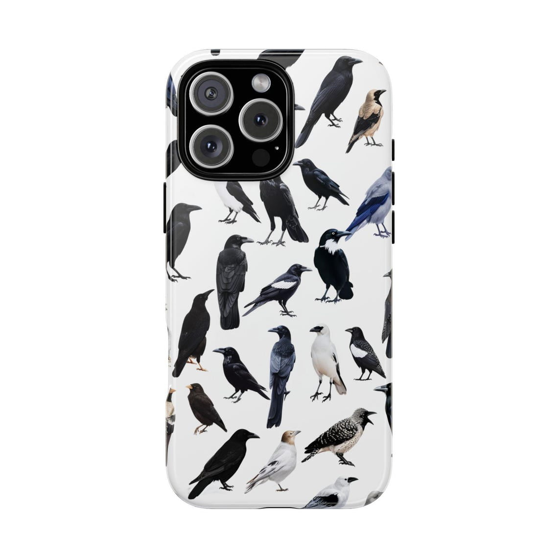 Bird Chart Crow Magpie Raven Ornithology Vintage Design Phone Case with ...