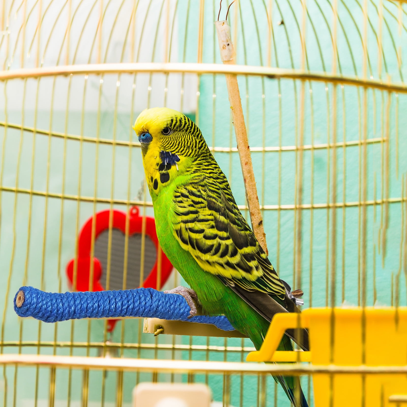 Bird Claw Sharpening Rod - Rope Perch Toy for Small Birds, Parrots ...