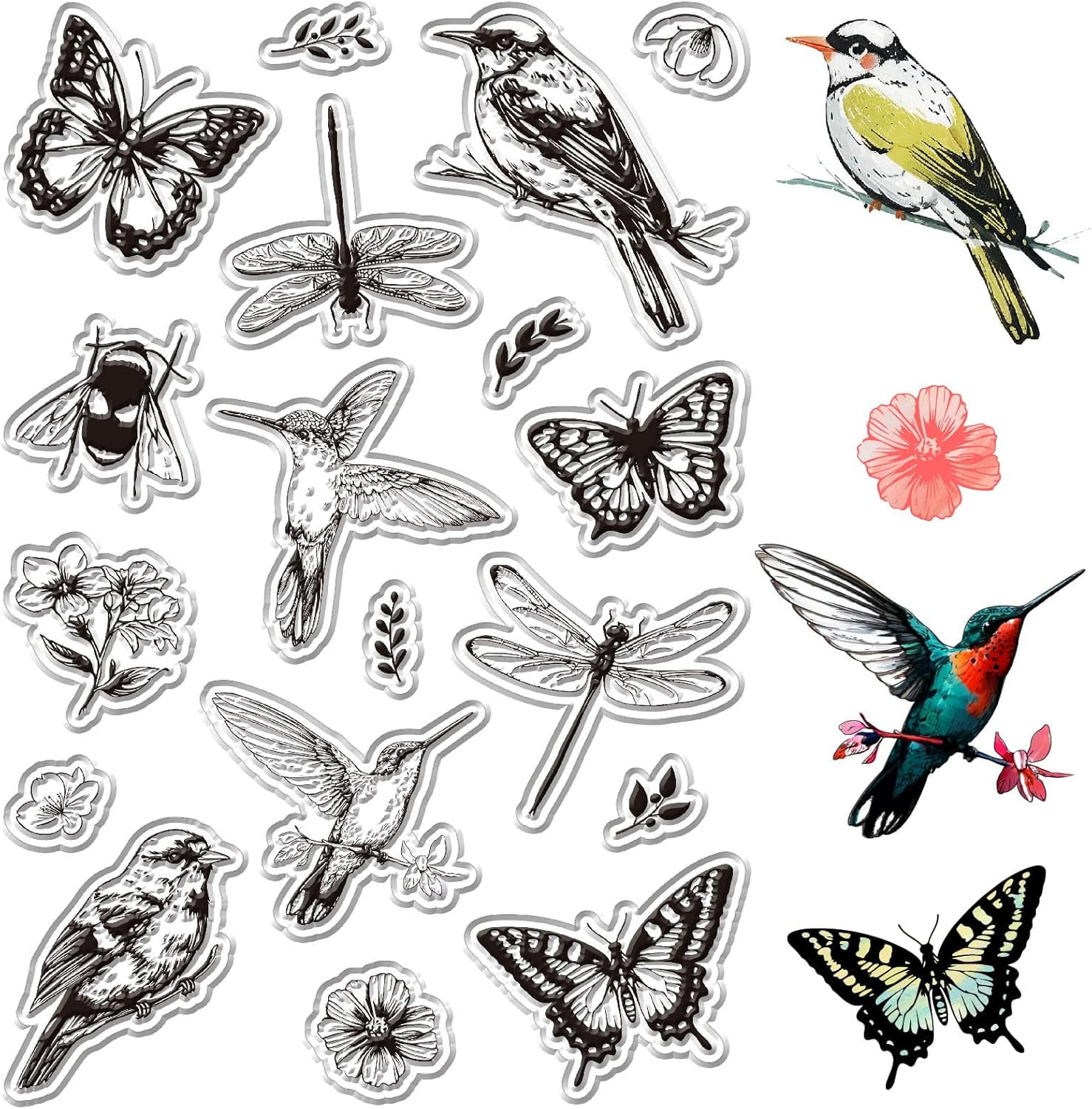Bird Clear Stamps Realistic Birds Butterfly Bee Flower Dragonfly Plant ...