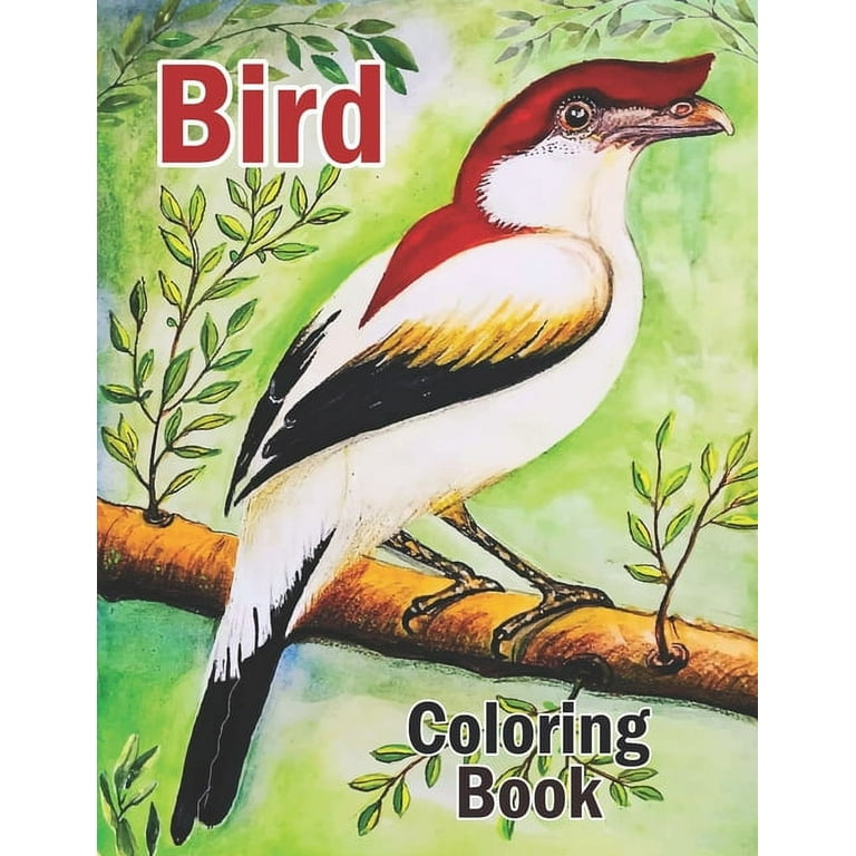 Bird Coloring Book Pages: A Feathered Journey of Creativity