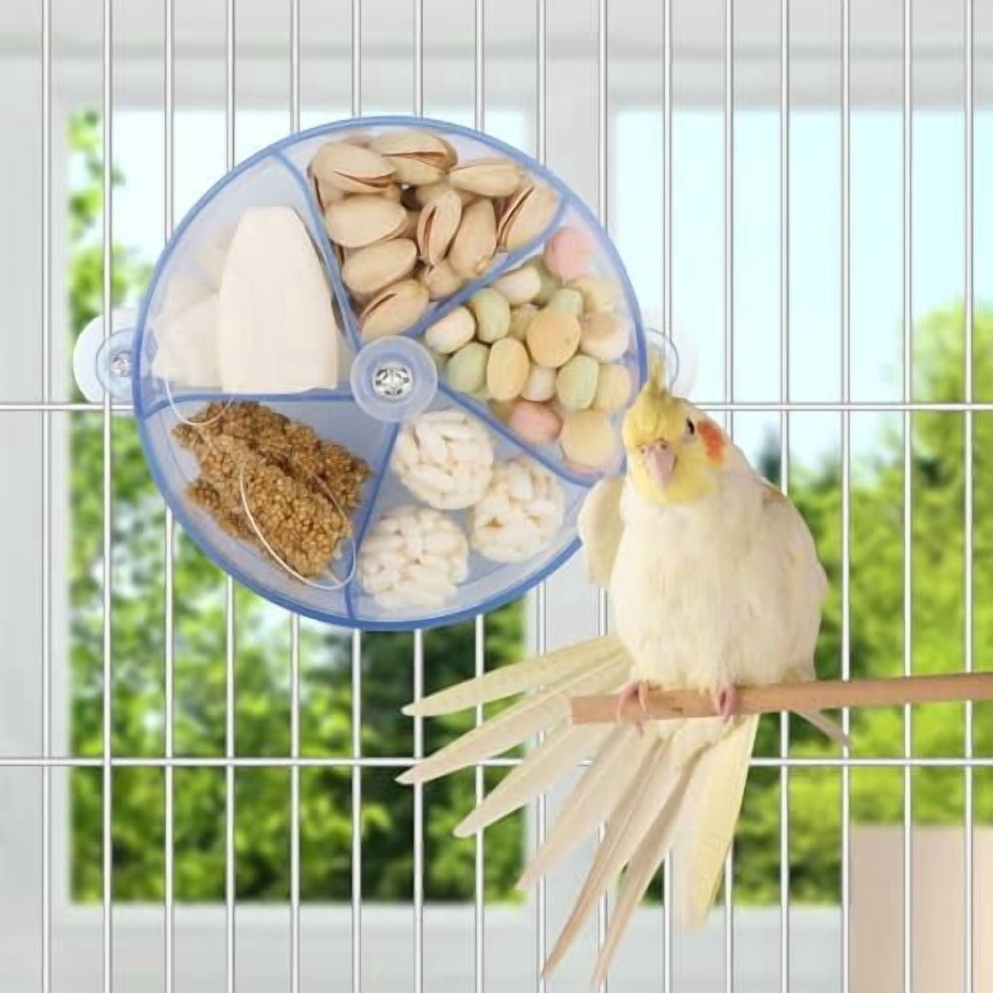 Bird Creative Foraging System Wheel Seed Food Ball Rotate Training Toy ...
