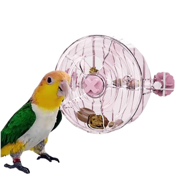 Bird Creative Foraging System Wheel Seed Food Ball Rotate Training Toy ...