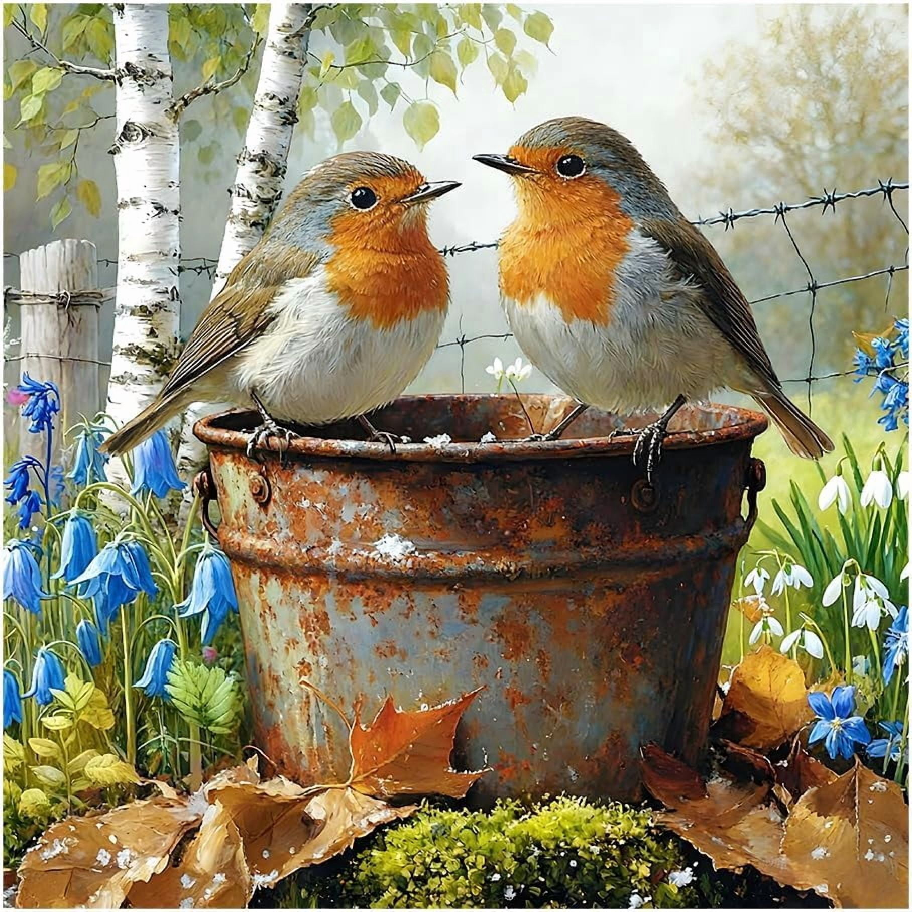 Bird Diamond Art Kits for Adults - 5D Diamond Painting Kit - Diamond ...