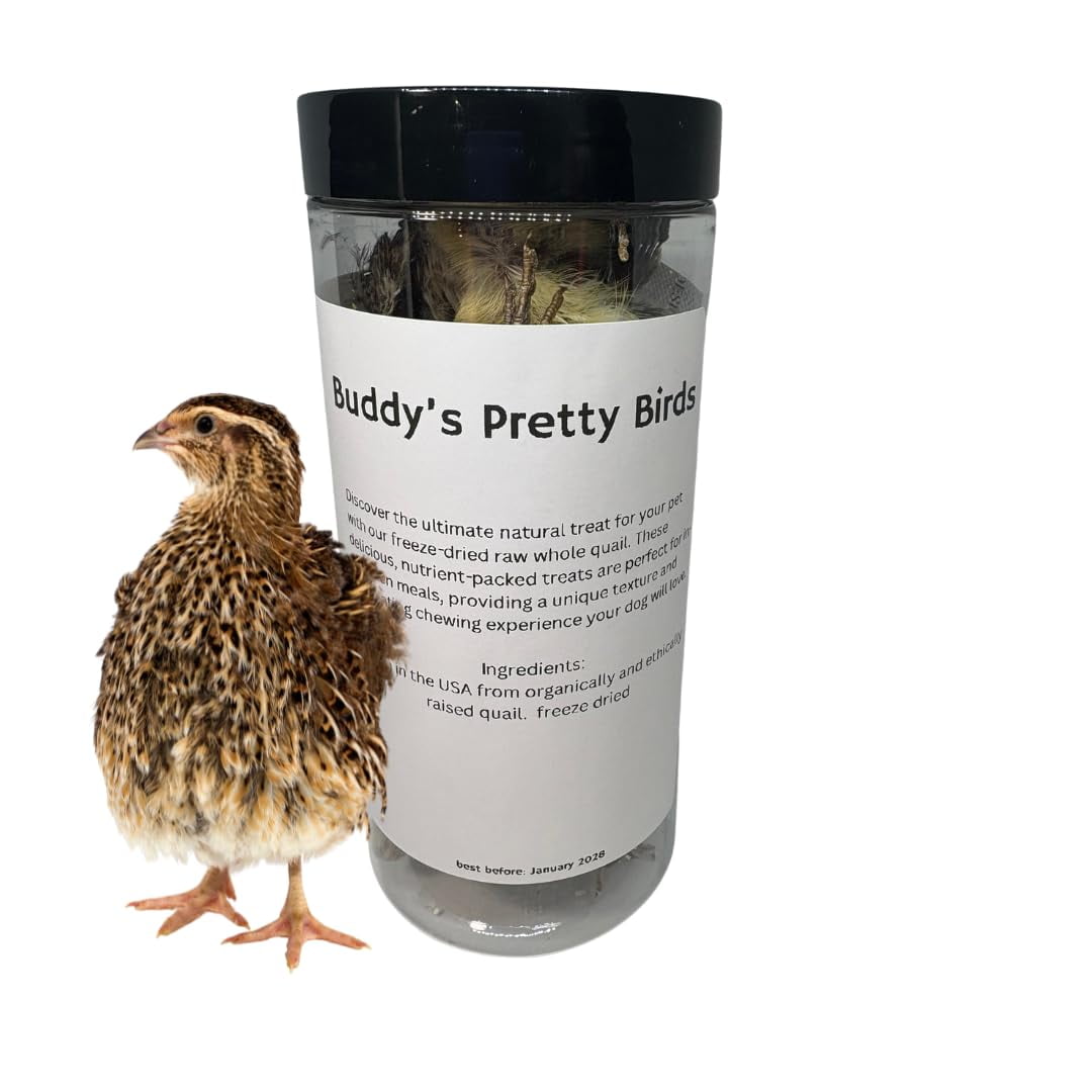 Bird Dog Training Quail - Premium Freeze-Dried Whole Quail For Dogs 5Ct, Large (Chick) - Natural ...