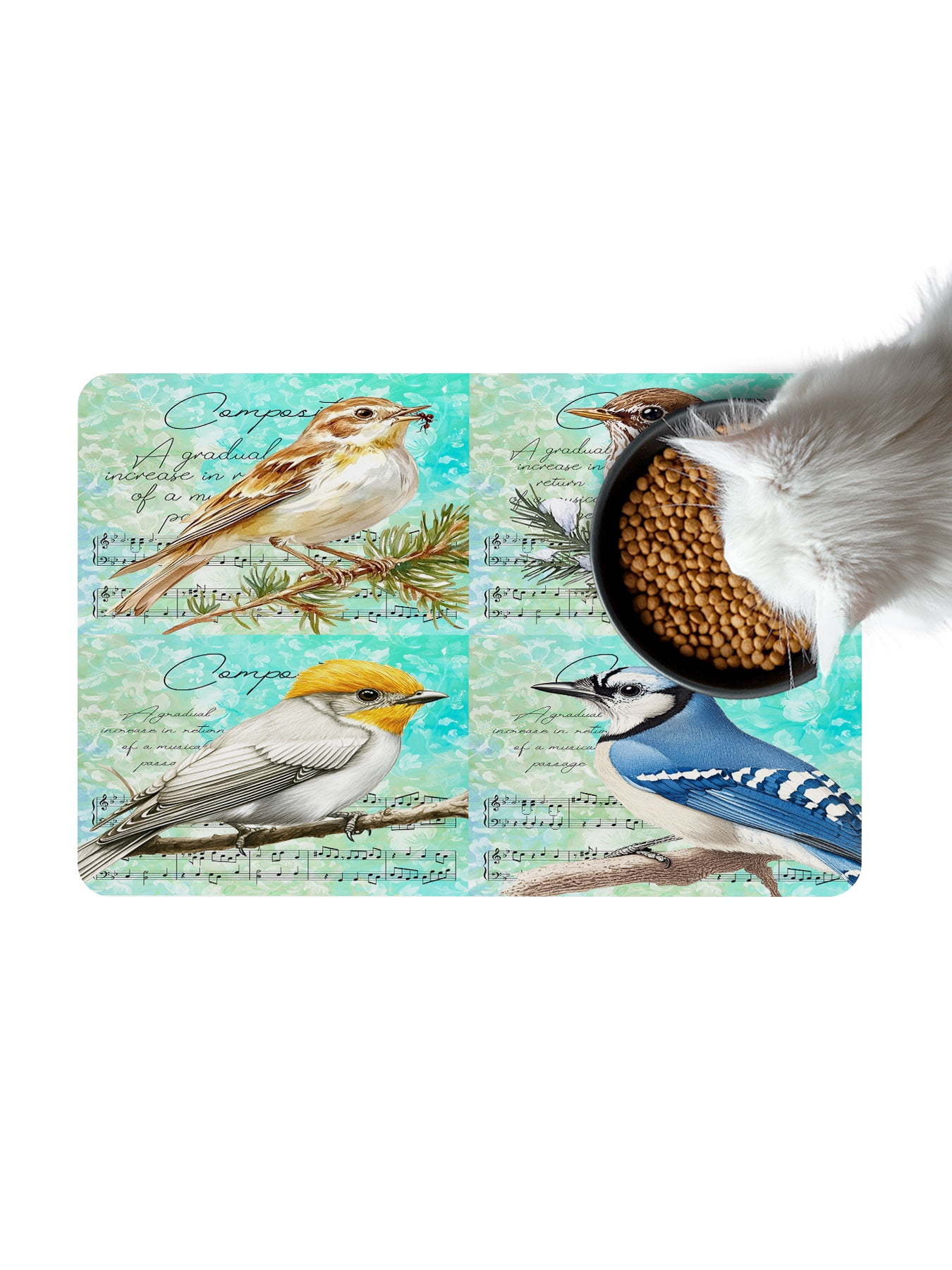 Bird Doormat Non Slip Diatomaceous Earth Door Mat Absorbent Quick Dry ...