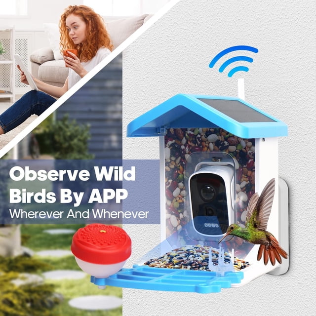 Smart AI Bird Feeder with 1080P Camera, Solar Outdoor Cam, Motion ...