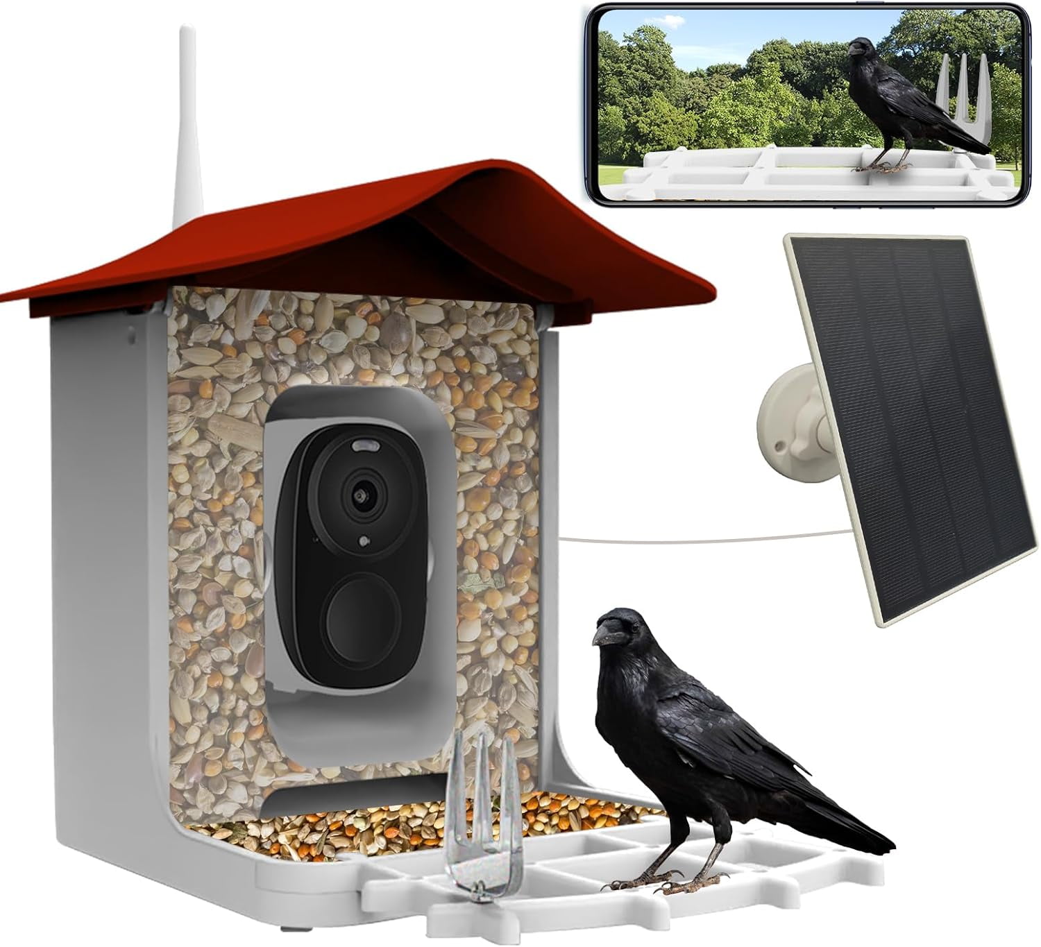 Bird Feeder with Camera,2.1L-with Camera with AI Identify Birds Species ...