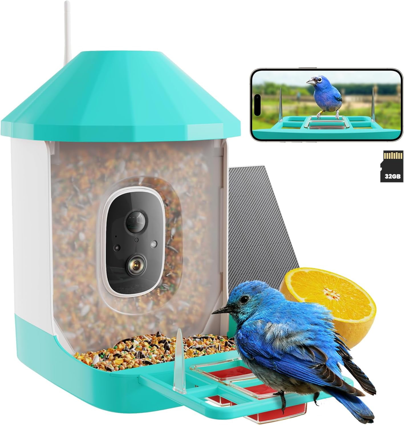 Bird Feeder Camera with 32G Card, AI Identify Birds Species Smart Bird ...