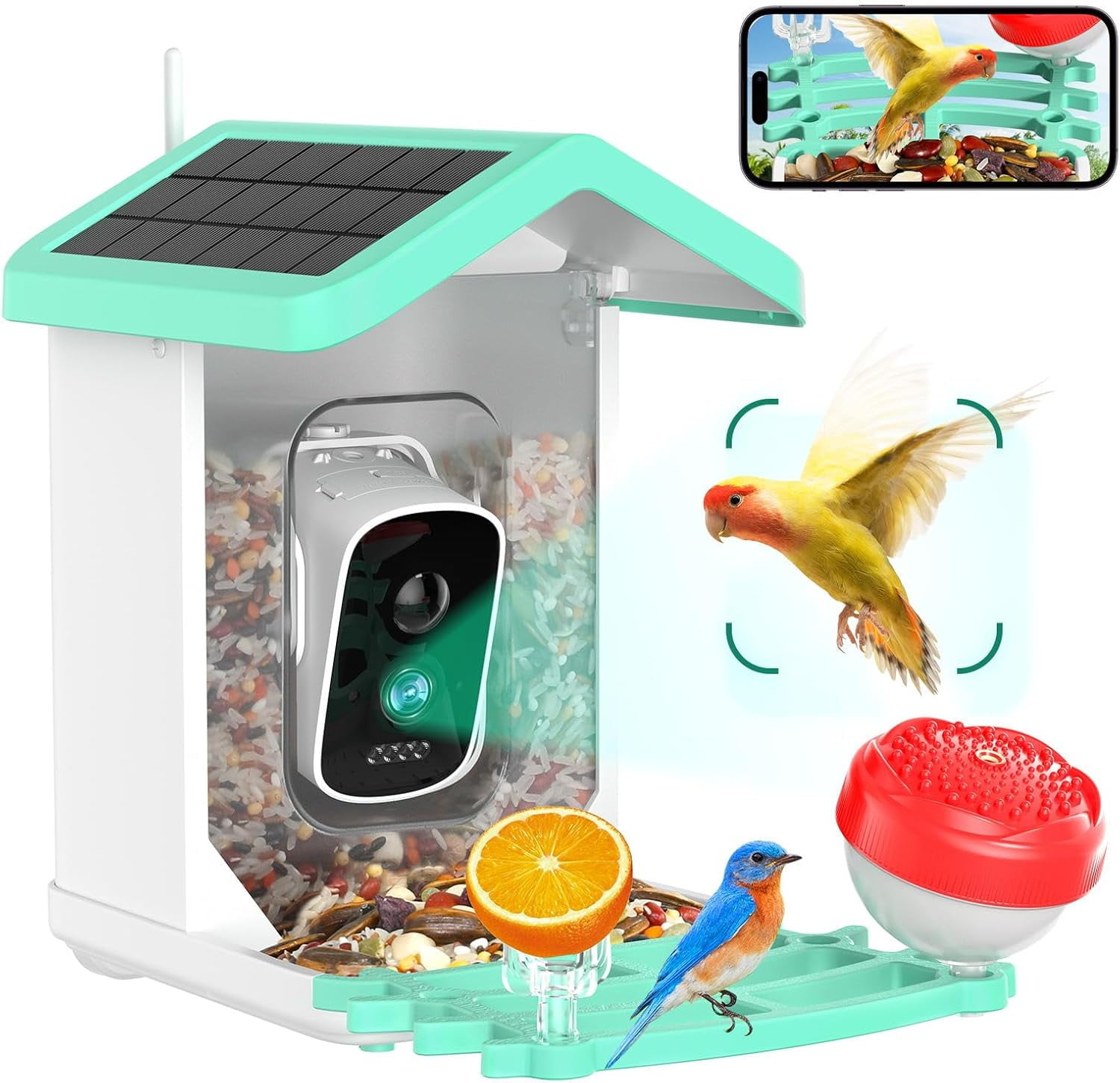 Bird Feeder with Camera, 4K HD AI Identify Bird Species, Smart Solar ...
