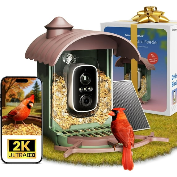 Bird Feeder with Camera – AI Identifies 10,000+ Birds, Real-Time Alerts ...