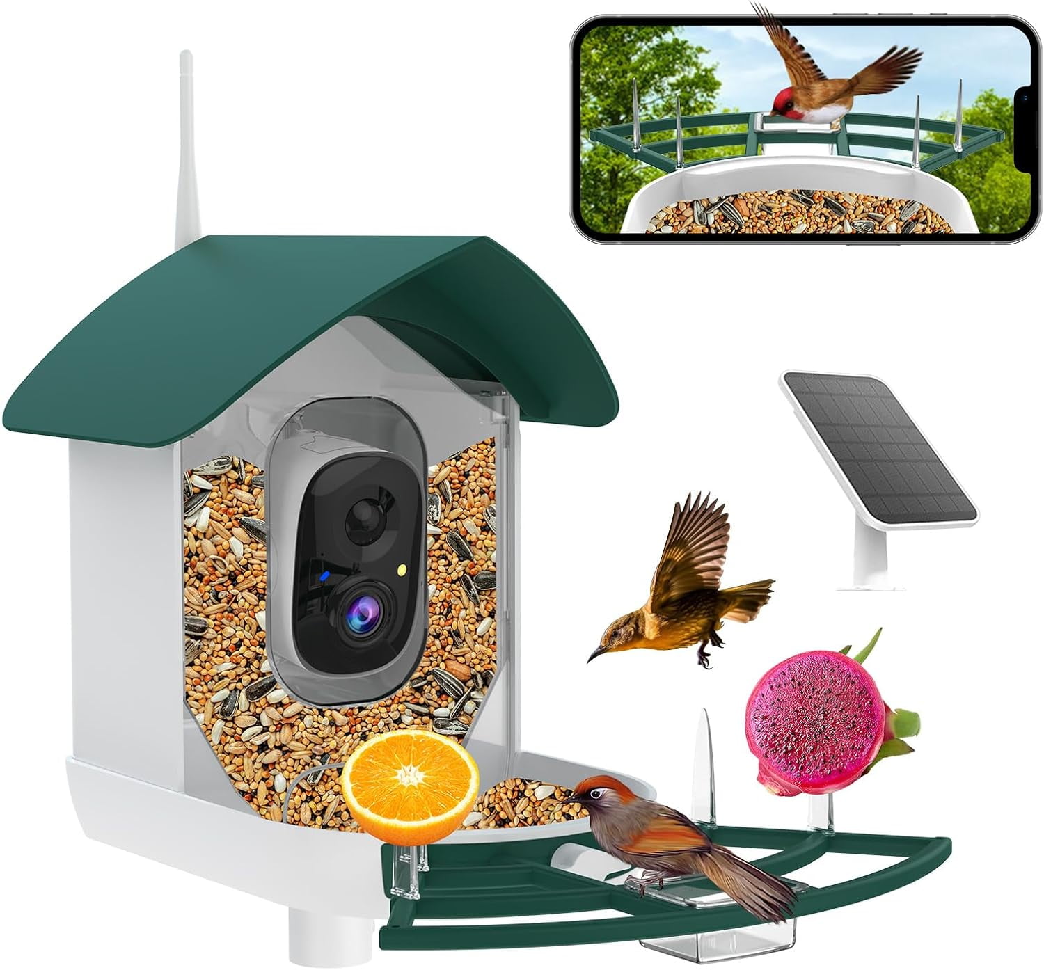 Bird Feeder with Camera,AI Identify Birds Species,Smart Birds Camera ...
