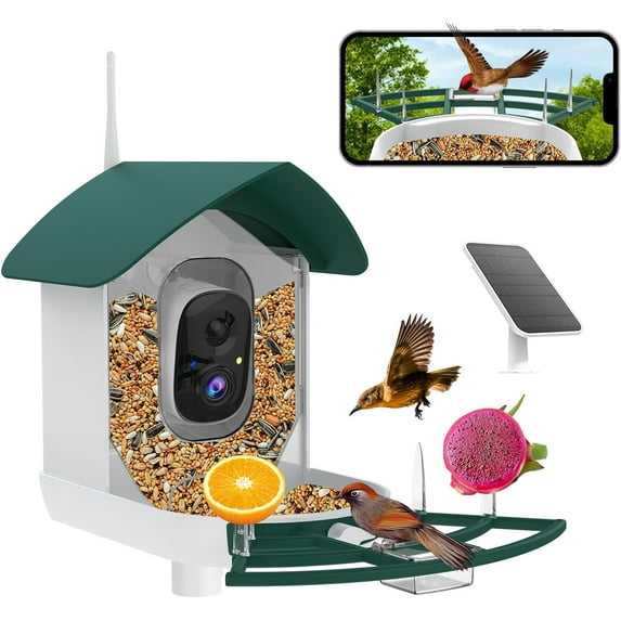 Bird Feeder with Camera,AI Identify Birds Species,Smart Birds Camera ...