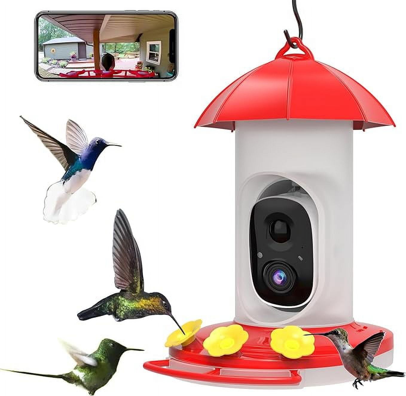 Bird Feeder with Camera- Ant-Blocking Defense, Bee Prevention, AI Bird ...