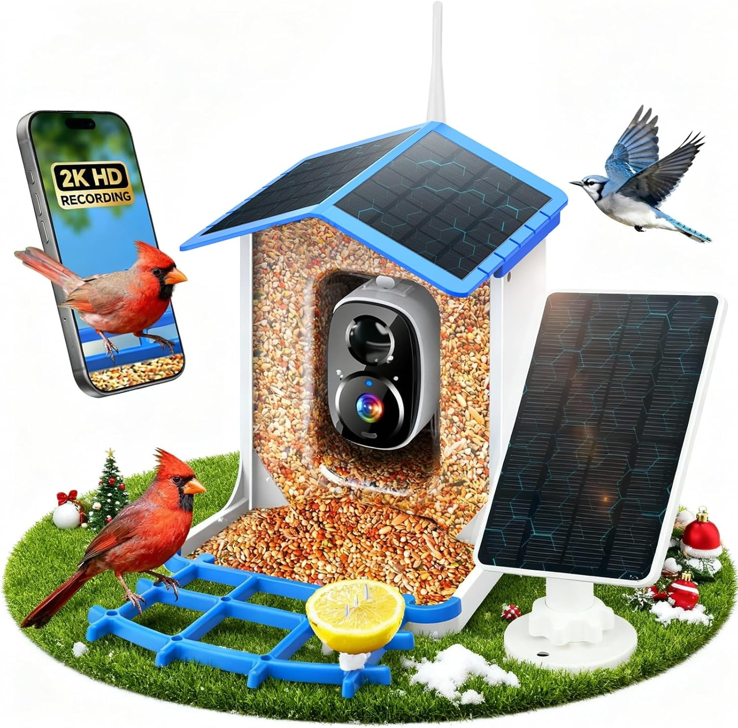 Bird Feeder with Camera- Bird Feeders for Outdoors Triple-Solar AI ...