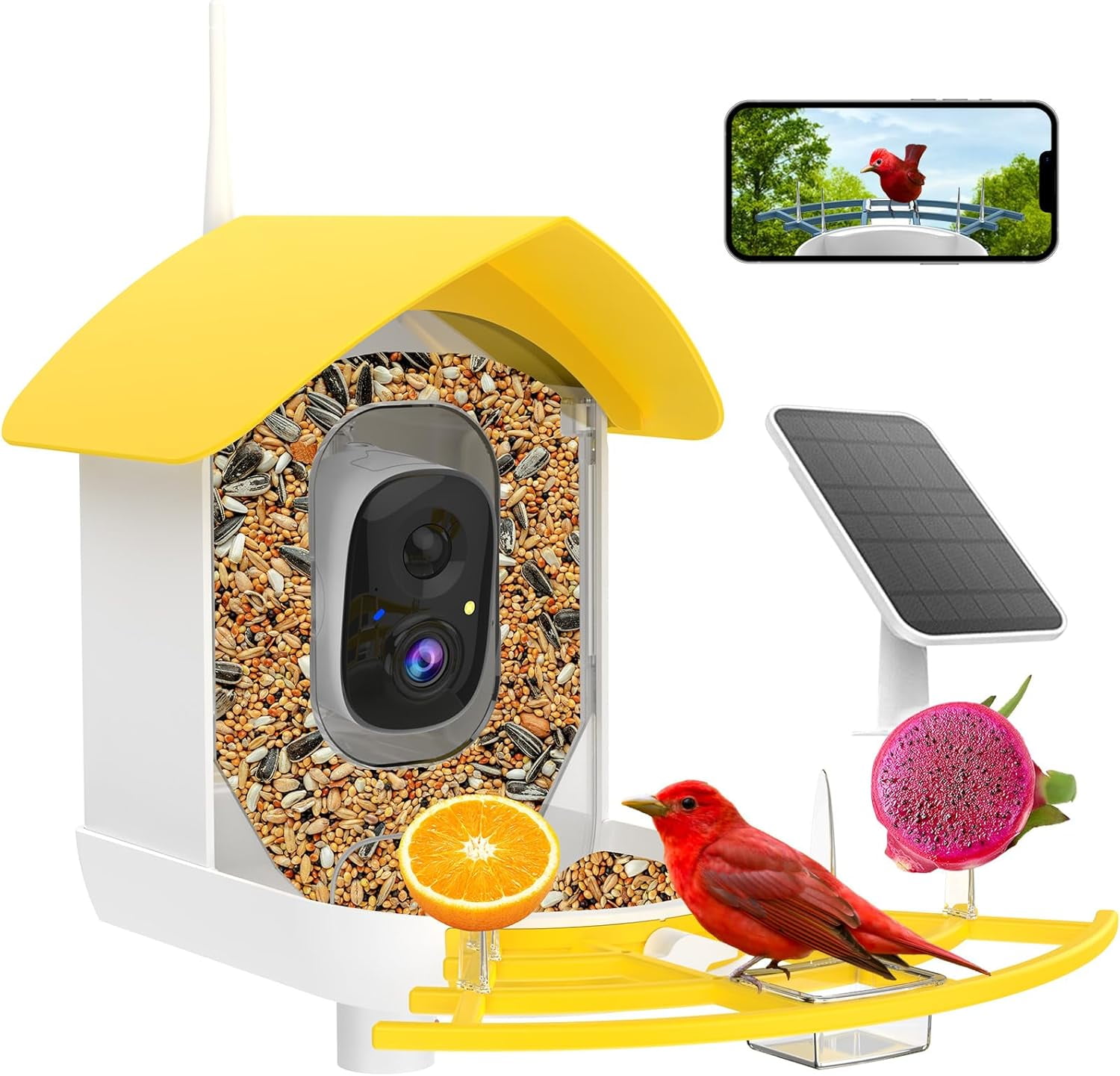 Bird Feeder with Camera, Birds AI Identify, Motion Detection with Real ...