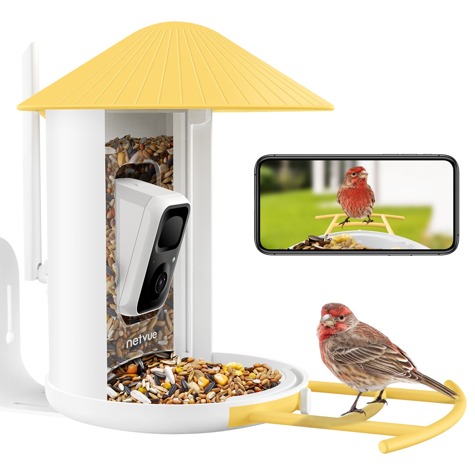 Free Shipping! Bird Feeder Camera Outdoor Feeder Bird, Netvue Birdfy Bird Watching with Camera ...
