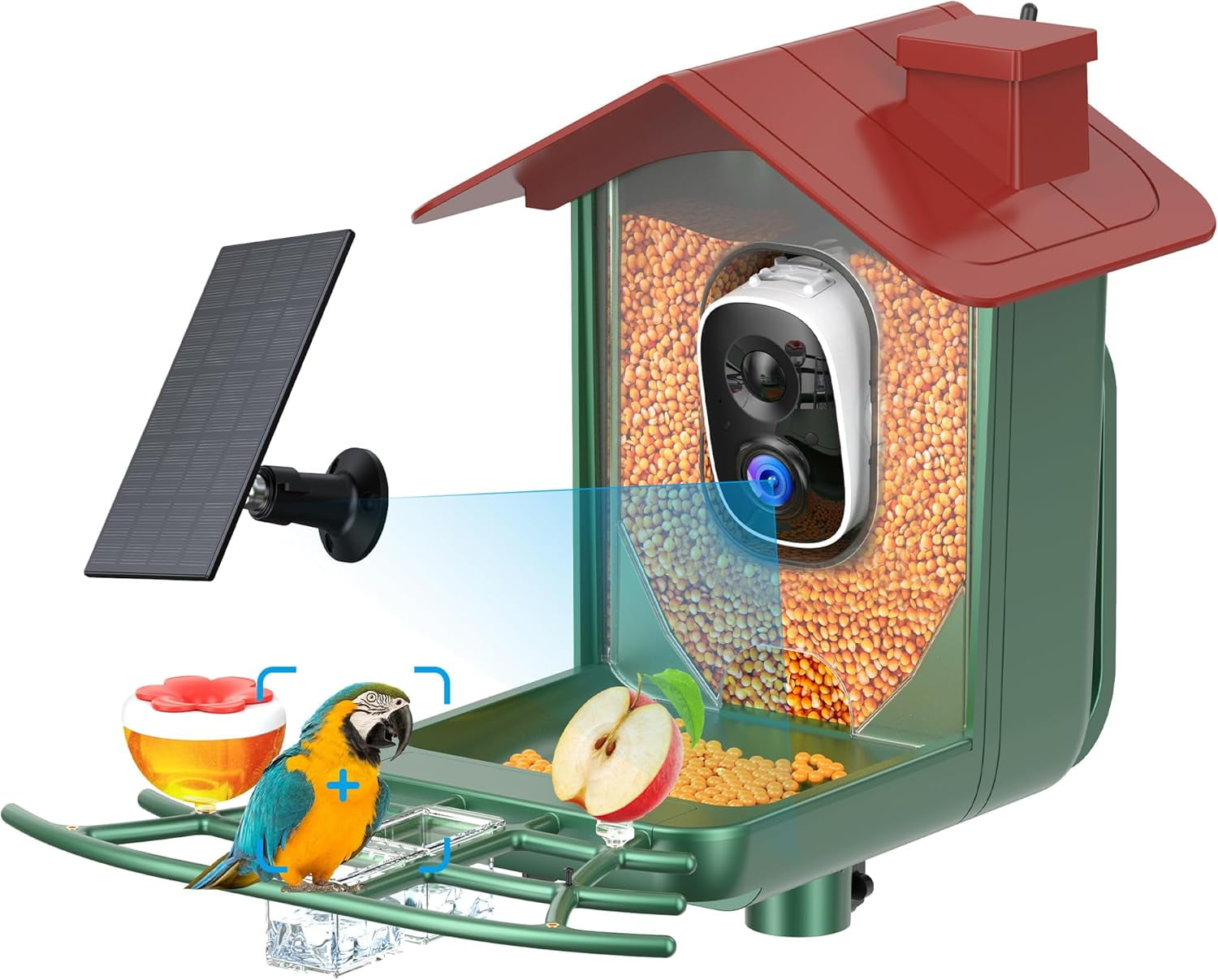 Bird Feeder with Camera Outdoor Solar: Smart Birdfeeder Cam for Outside ...