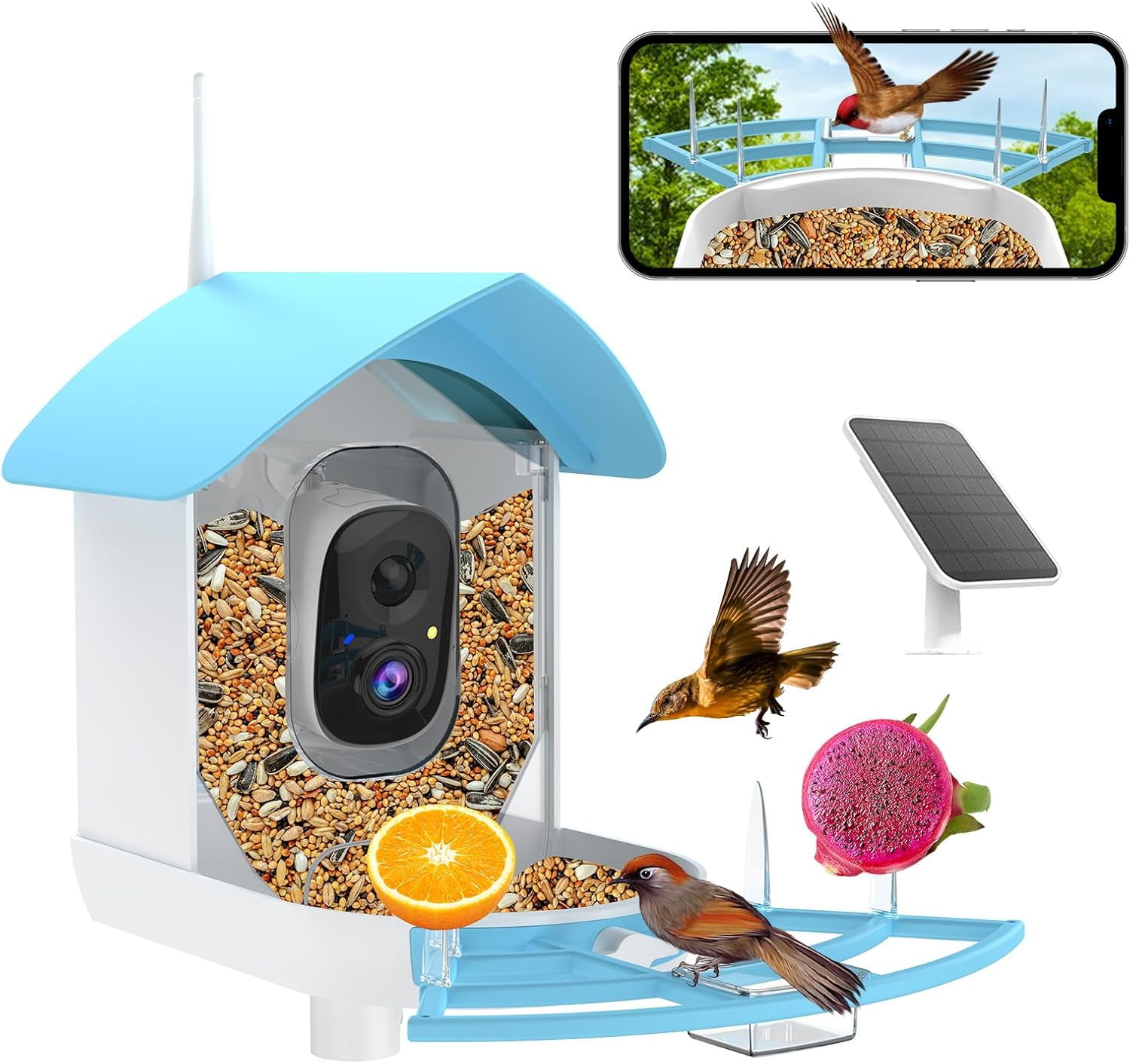Bird Feeder with Camera, Smart AI Bird Breed Recognition, Birds Motion ...