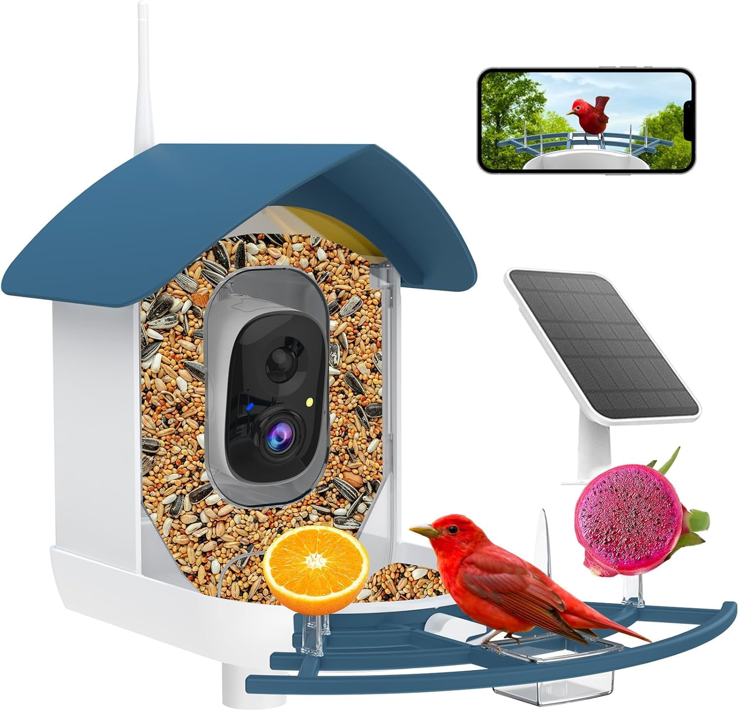 Bird Feeder with Camera, Smart AI Bird Breed Recognition, Birds Motion ...