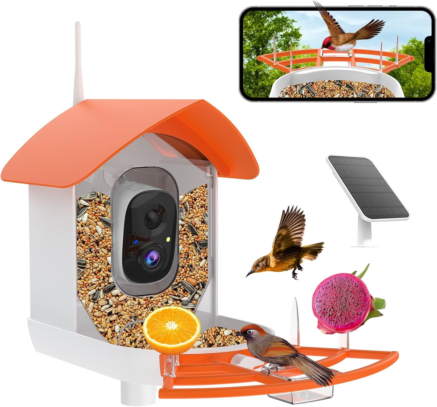 Bird Feeder with Camera, Smart AI Bird Breed Recognition, Birds Motion Detection with Real-Time ...