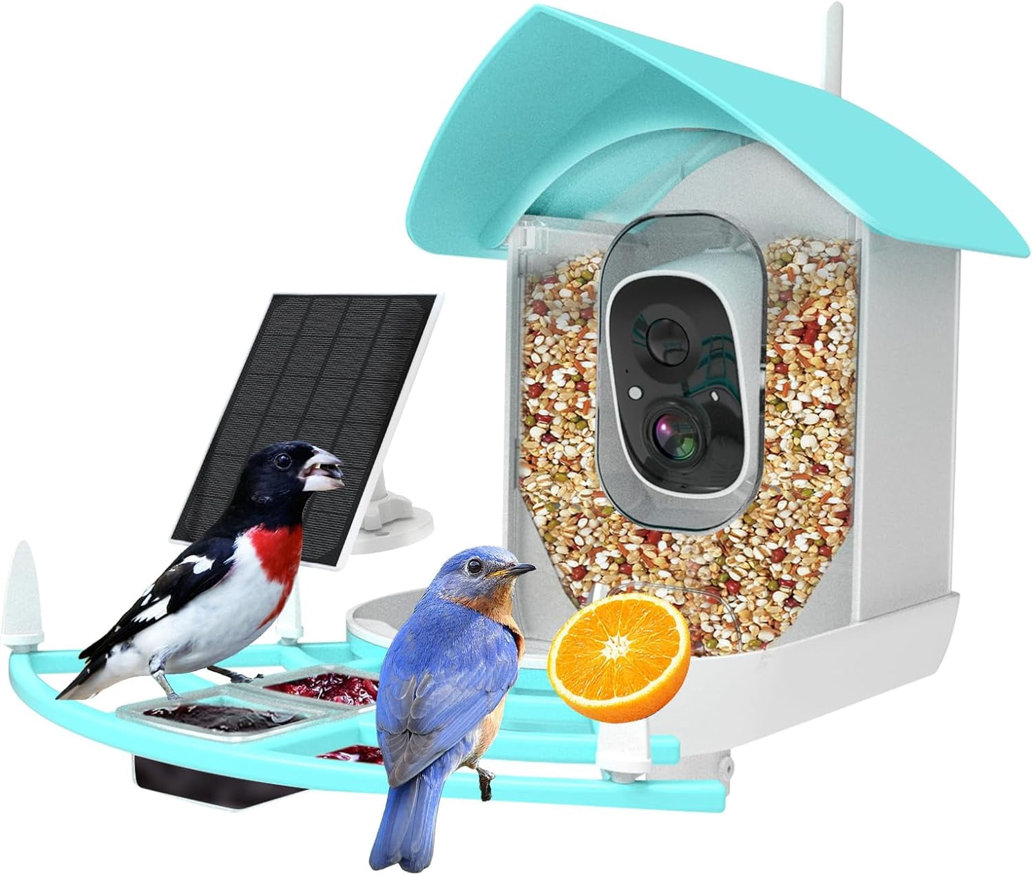 Bird Feeder with Camera, Smart AI Bird Breed Recognition, Birds Motion ...