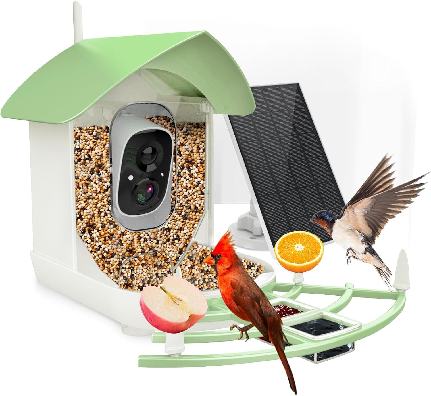 Bird Feeder with Camera, Smart AI Bird Breed Recognition, Birds Motion ...