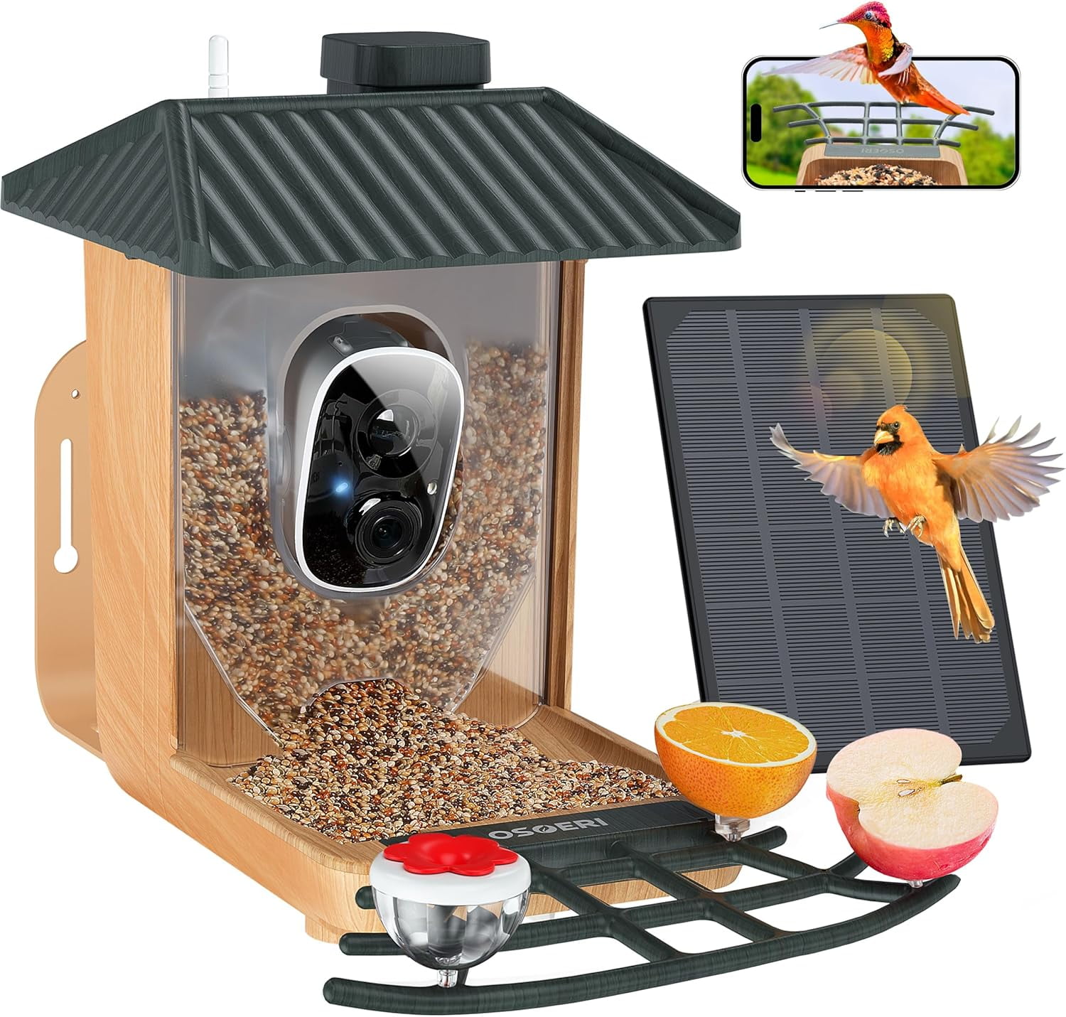 Bird Feeder with Camera, Smart AI Identify Wild Bird Feeder Camera ...