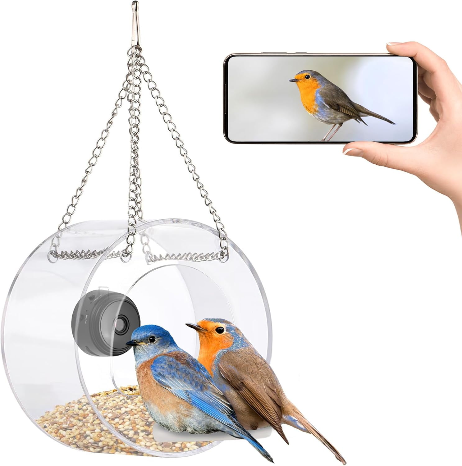 Bird Feeder with Camera Smart Backyard Bird House Camera with Live View ...