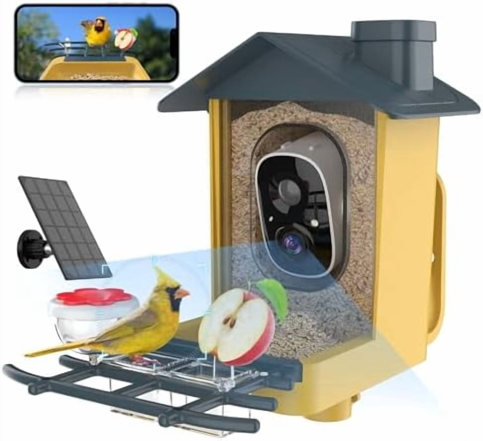 Bird Feeder with Camera - Smart Bird Cam with AI Identify BirdSpecies ...