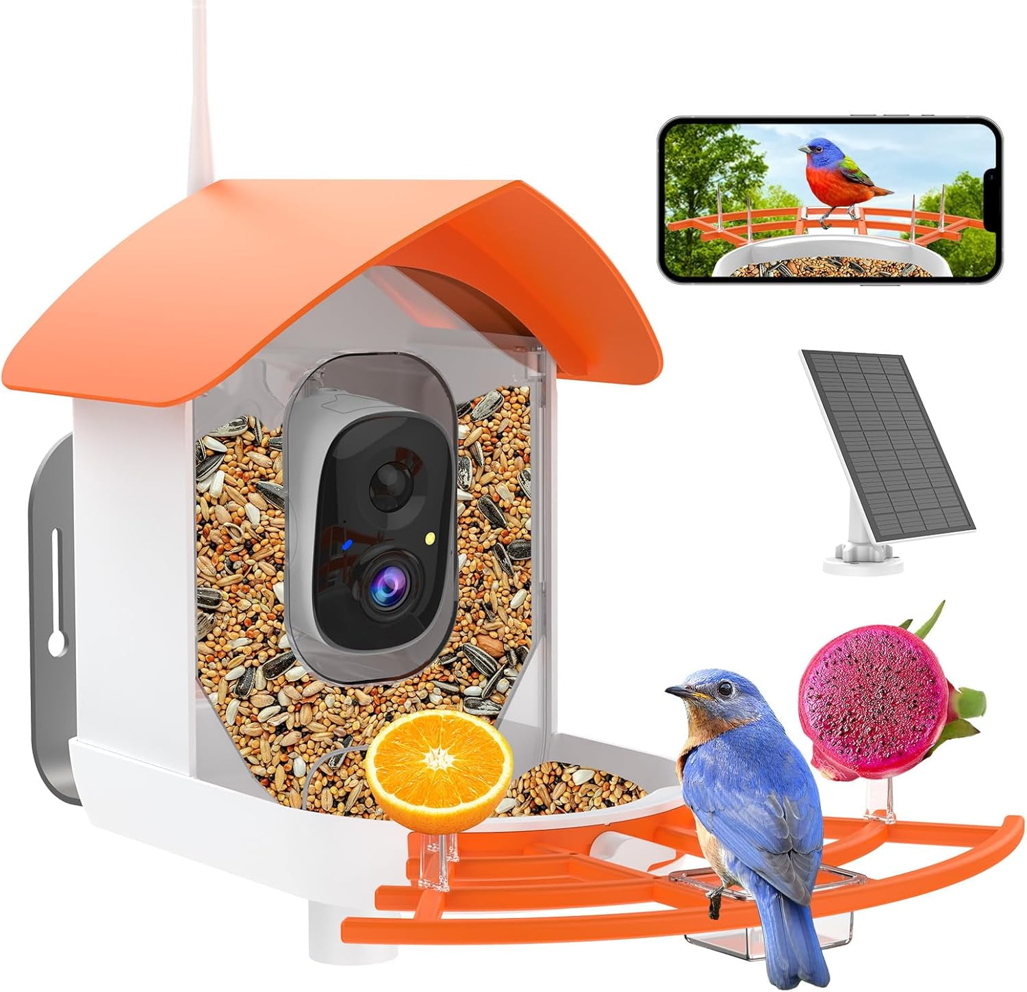 Bird Feeder with Camera,Smart Bird Feeder Camera with Solar Powered,AI ...