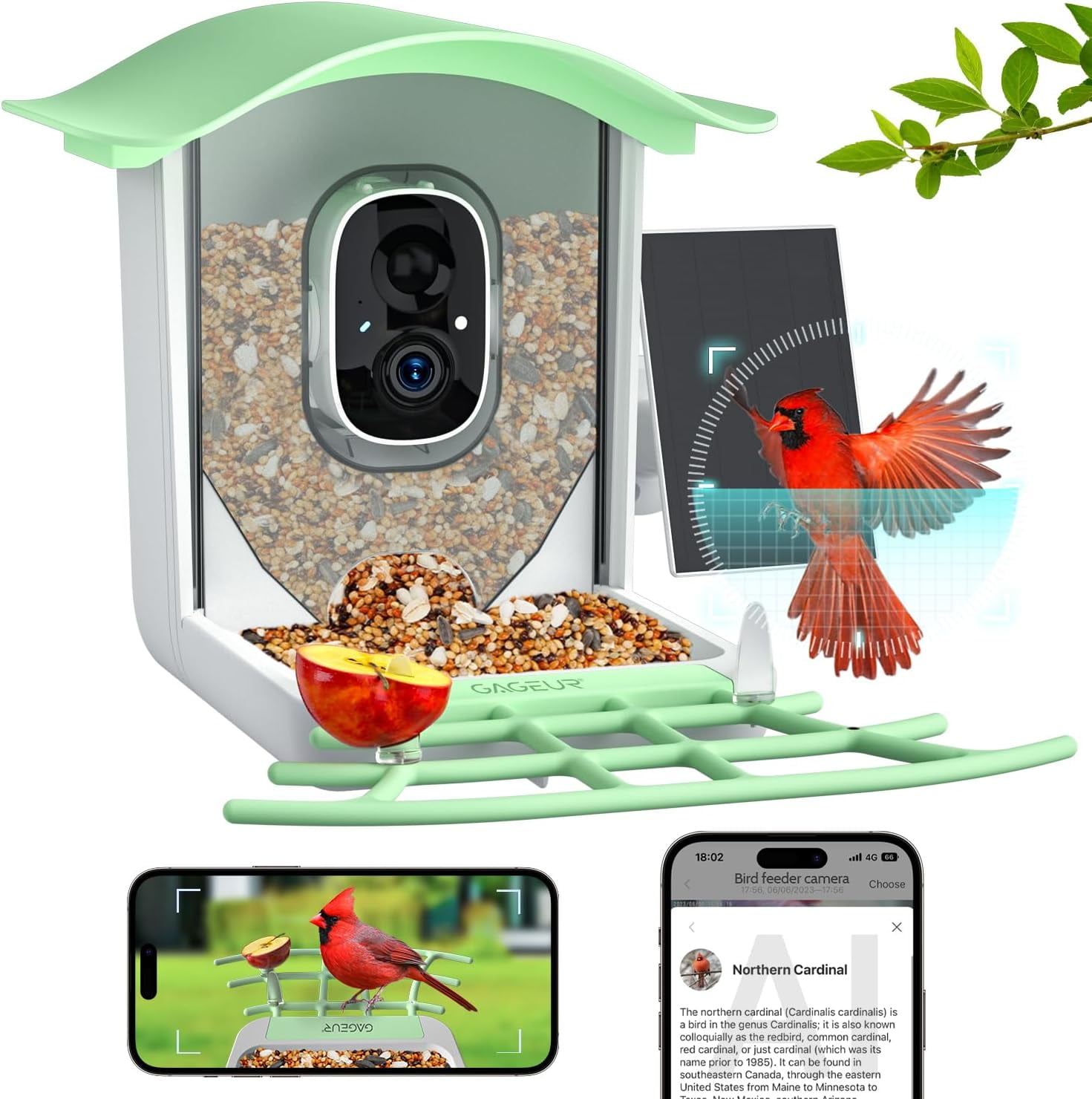 GEPD Smart Solar Bird Feeder Camera: Wireless Outdoor IP65, WiFi, Phone ...