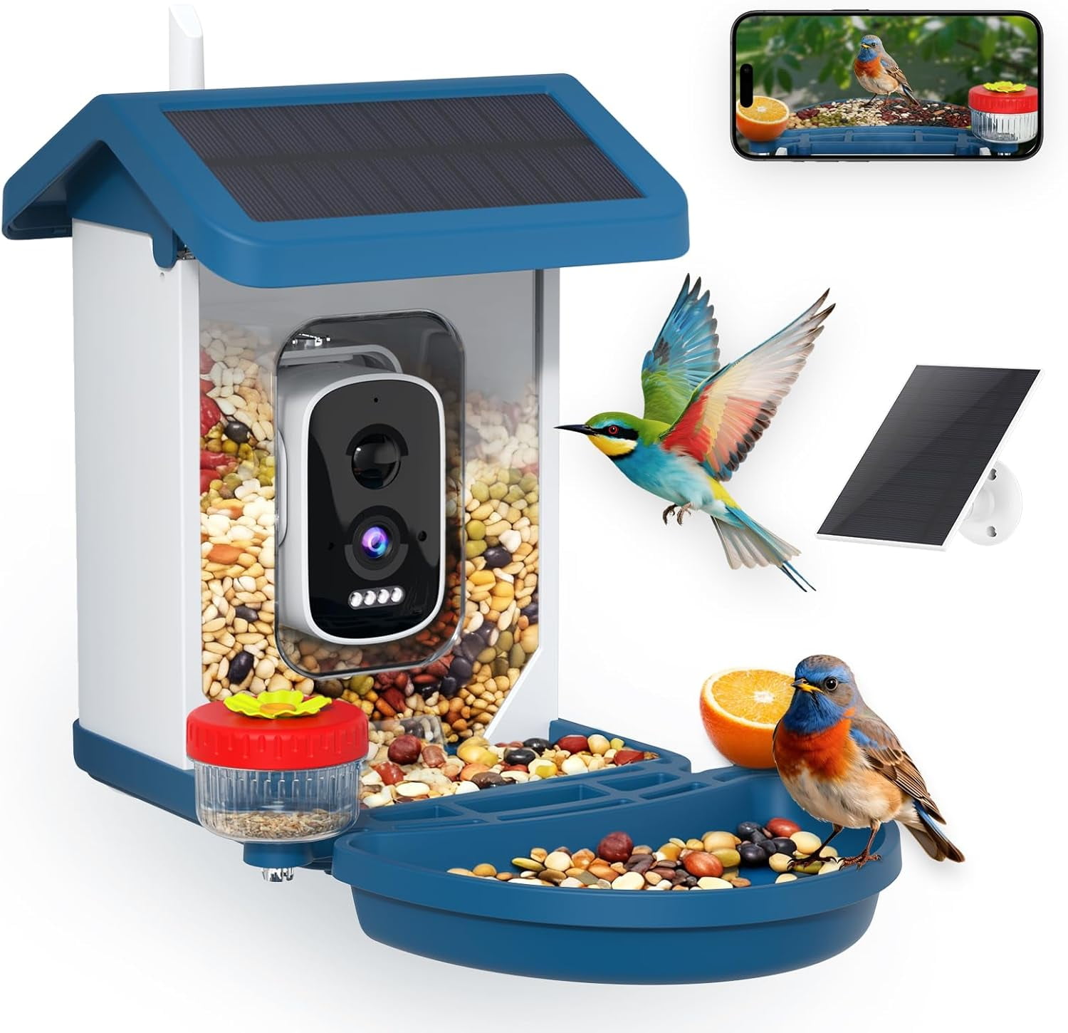 Bird Feeder with Camera Solar , 4K Video Bird House, AI Bird Species ...