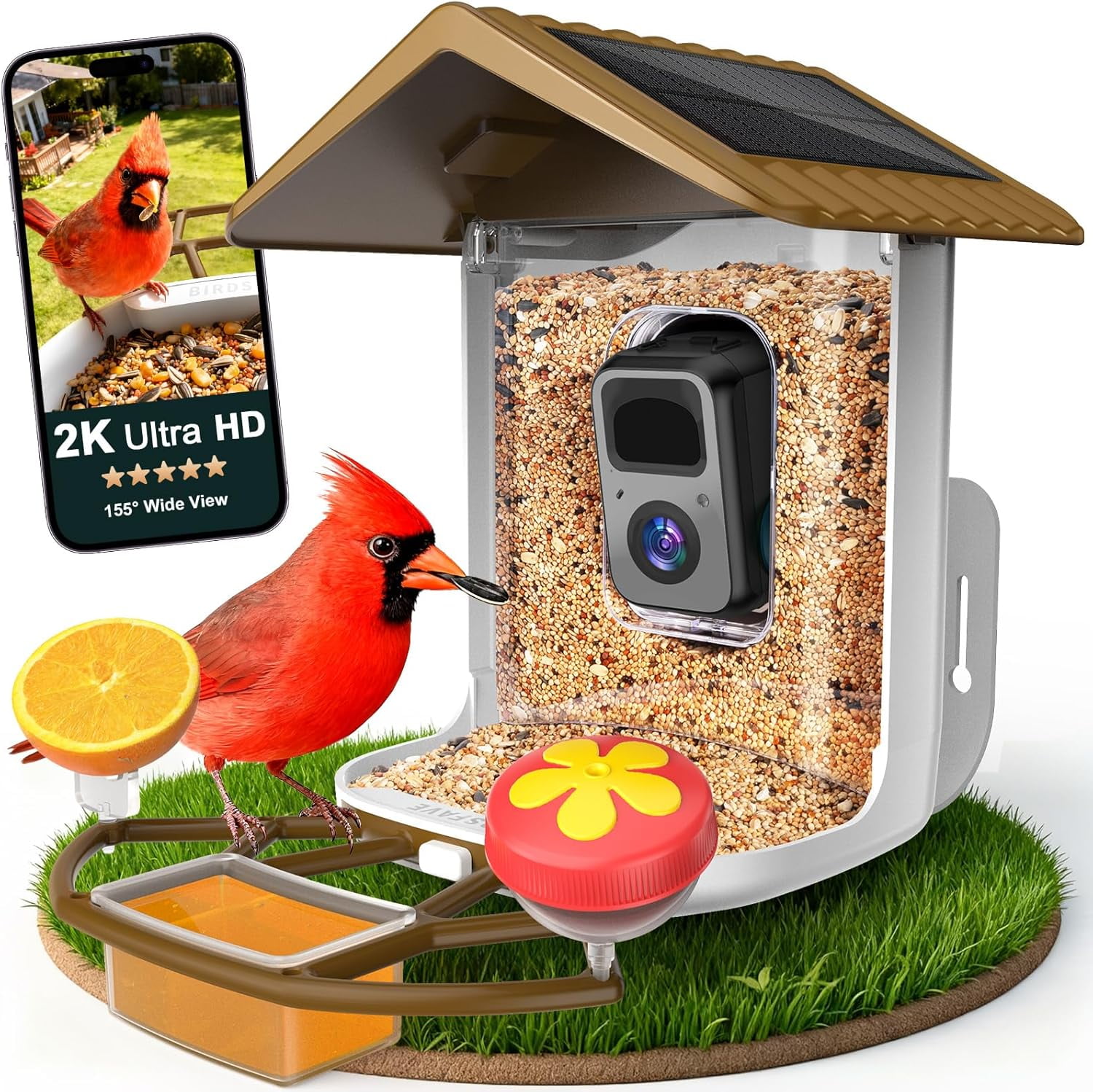 -Bird Feeder with Camera Solar , Clear Live/Video/Photo Arrival AI ...